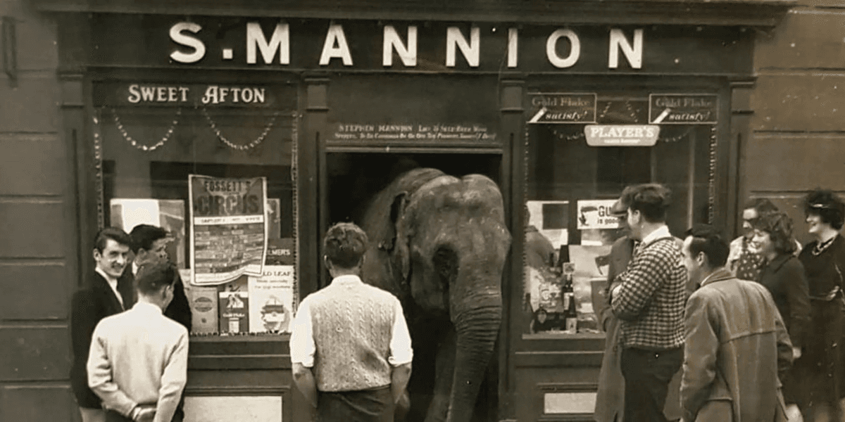 Xplore Castlerea - Castlerea Town Team, Roscommon, Ireland.