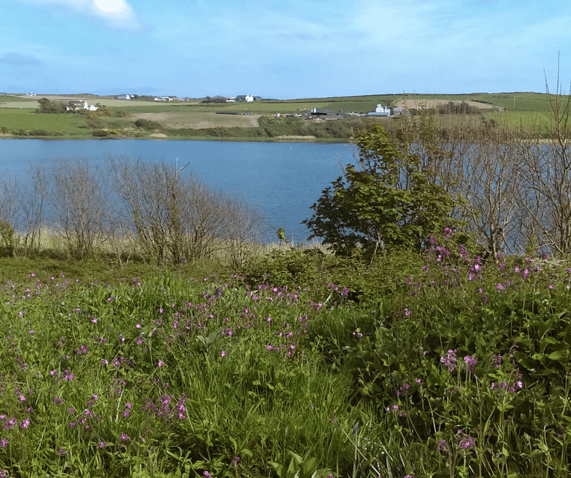 Castlefreke Long Walk (Rathbarry, Kilkern Lake, Long Strand, Lord ...